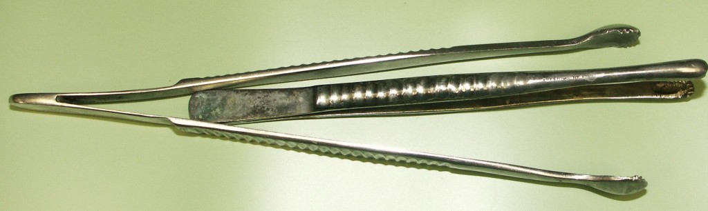 Specimen immobilization during grossing in surgical pathology